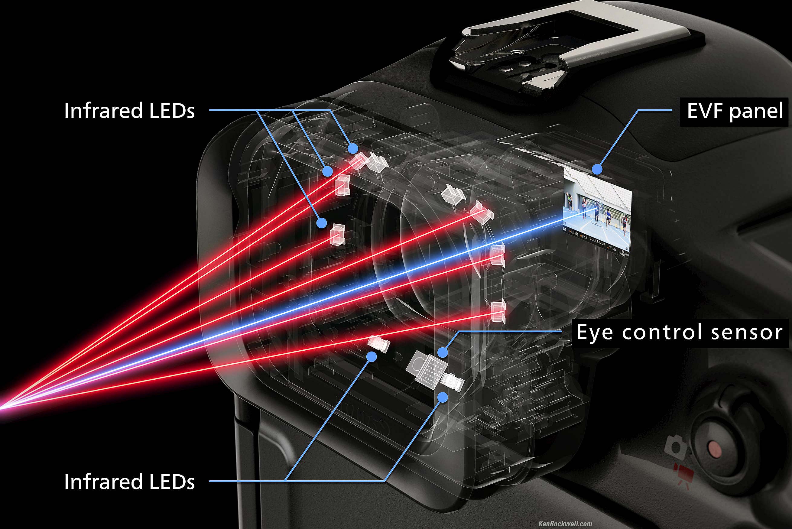Canon EOS R1 Review by Ken Rockwell