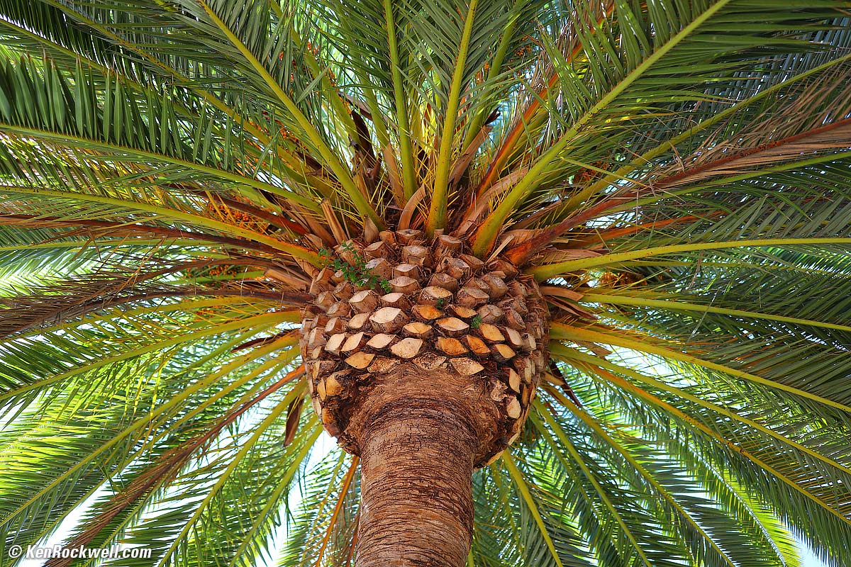 Canon EF 35mm f/1.4L II Review & Sample Image Files by Ken Rockwell