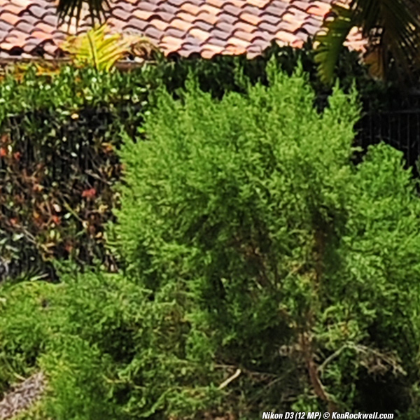 Nikon D810 D800e D600 D3 Sharpness Comparison