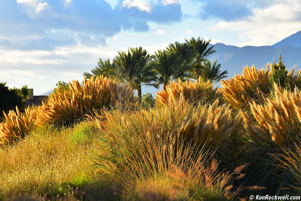 Nikon 70-200mm f/2.8 FL Review