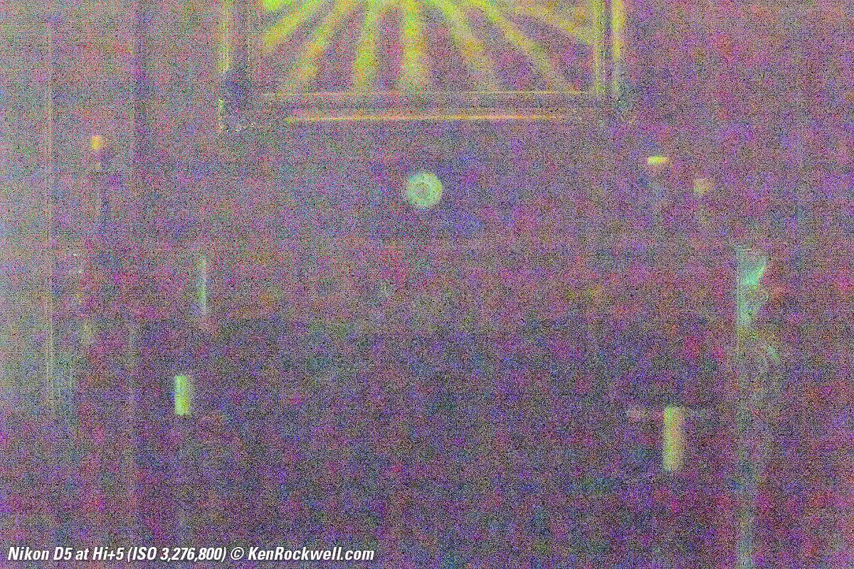 Nikon D5 Review & Sample Images by Ken Rockwell