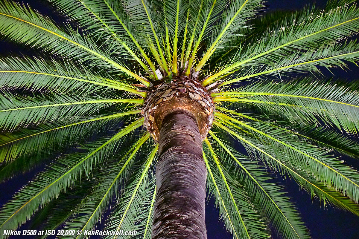 Nikon D500 Review & Sample Images by Ken Rockwell