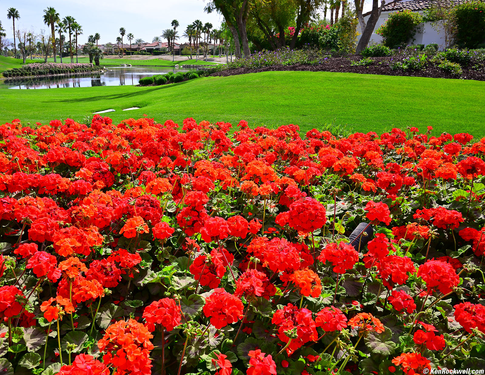 Nikon Z9 Review & Sample Image Files by Ken Rockwell