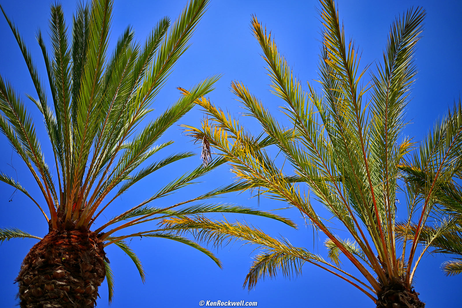 Nikon Z 35mm f/1.4 Review & Sample Image Files by Ken Rockwell