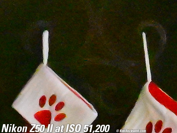 Nikon Z50 II Review & Sample Images by Ken Rockwell