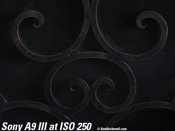 Sony A9 III Review & Sample Images by Ken Rockwell