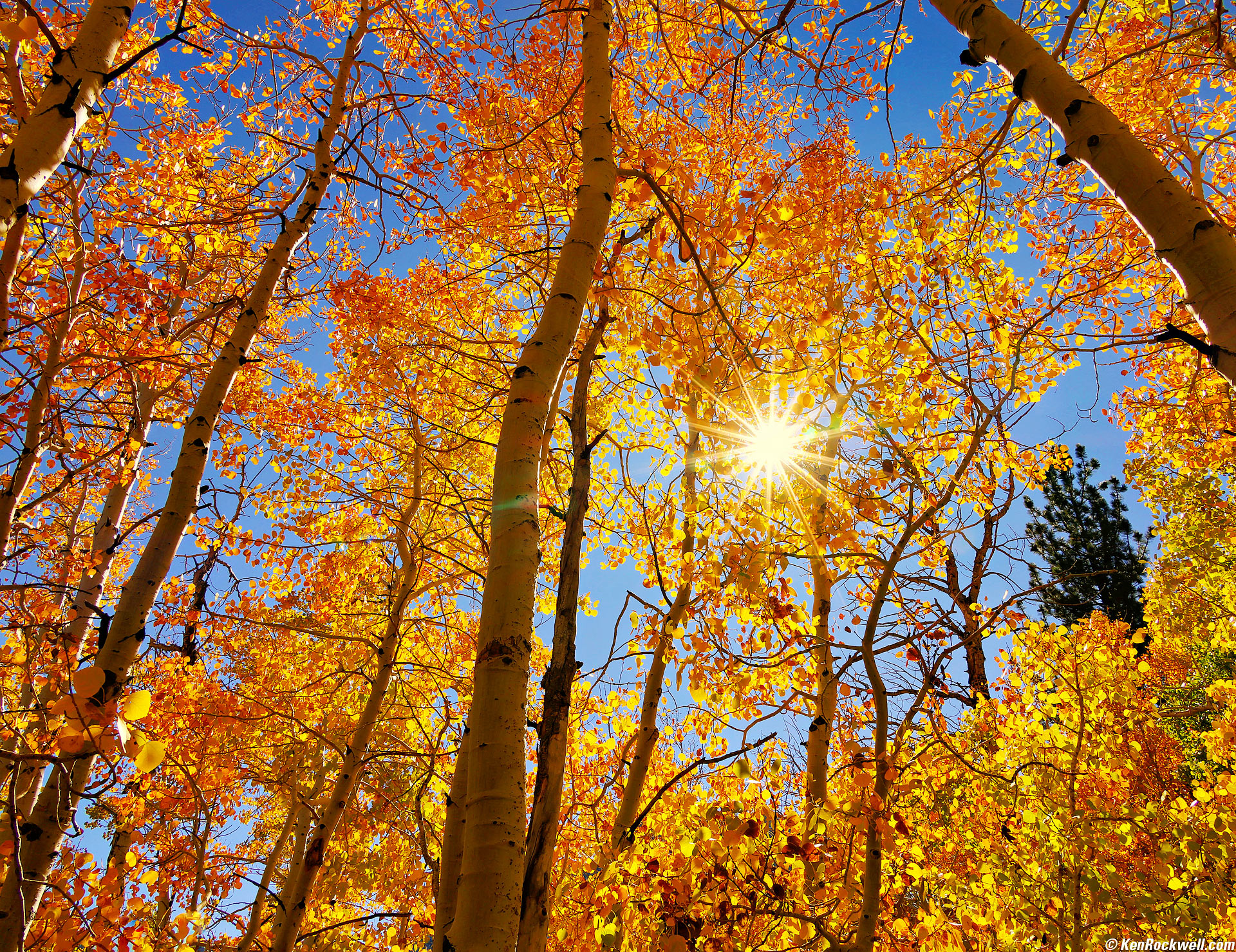 Ken Rockwell's Photography News